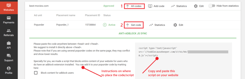 Your Definitive Guide to Instant Website Monetization With Adsterra
